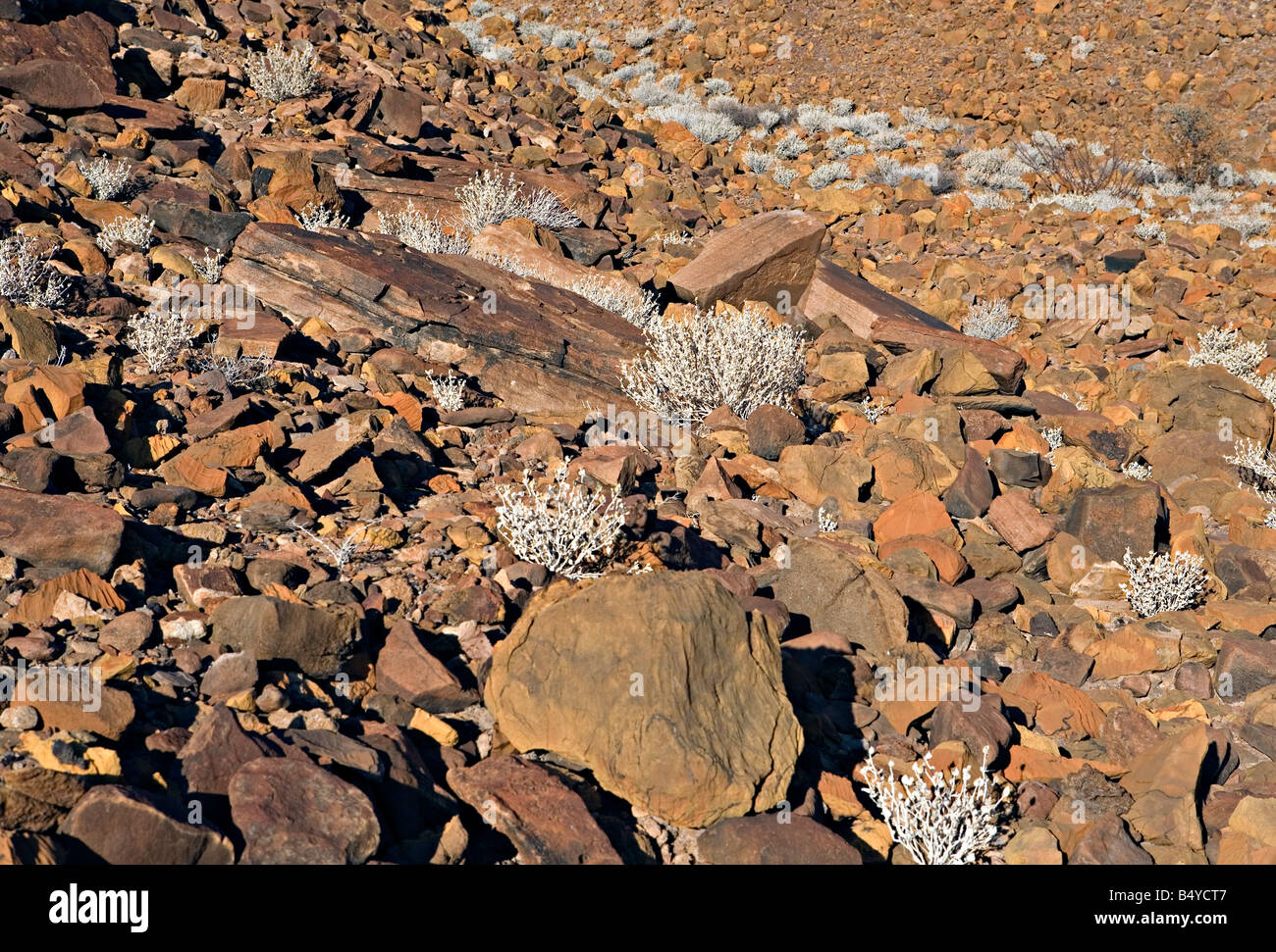 The Burnt Mountain area landscape in Twyfelfontein Damaraland Namibia ...