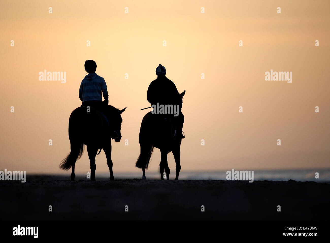 Horse And Rider Silhouette Walking