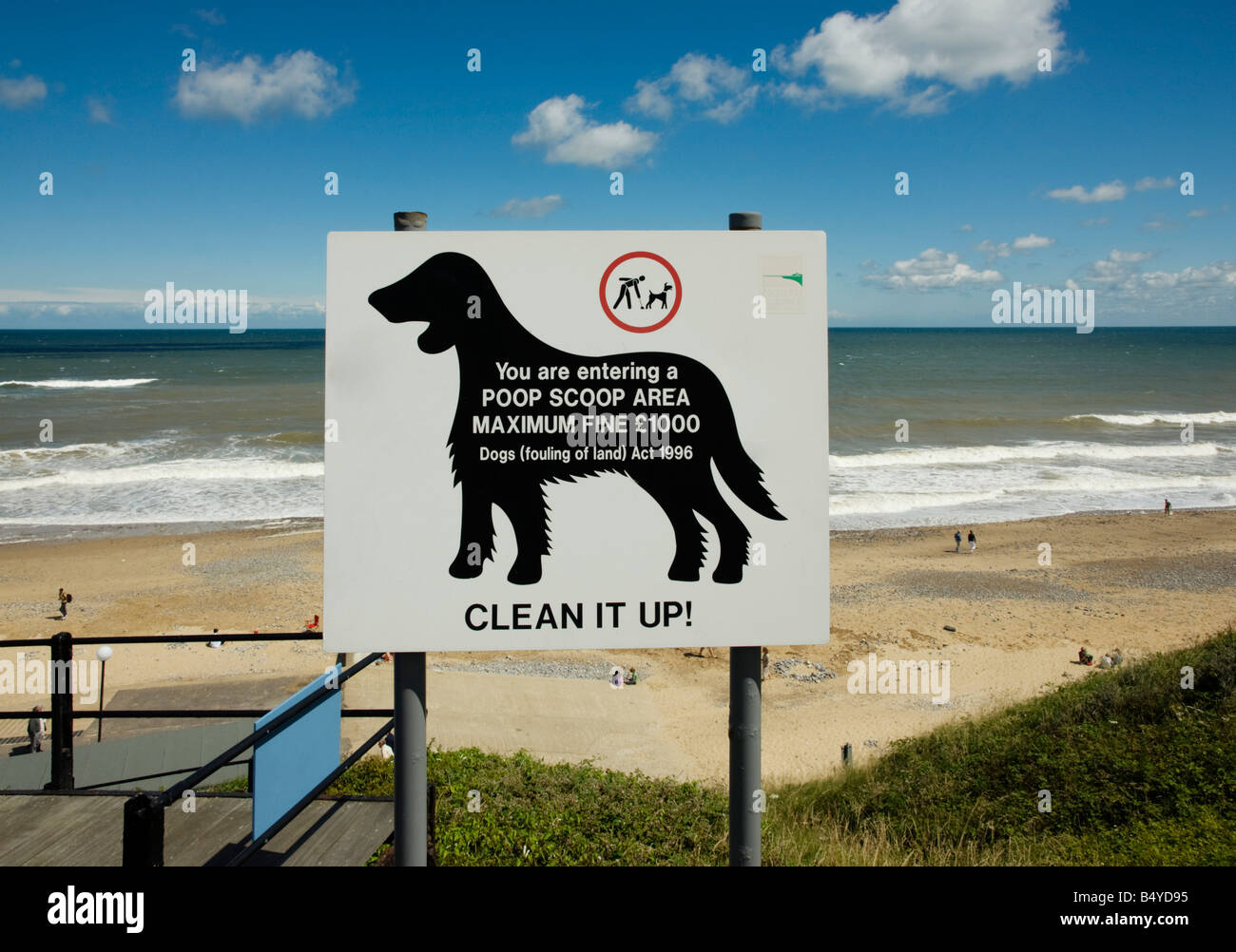 What Does Dog Restricted Beach Mean