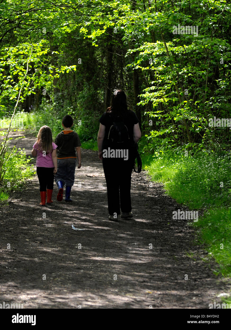 Mother and children walking along a woodland path Stock Photo - Alamy