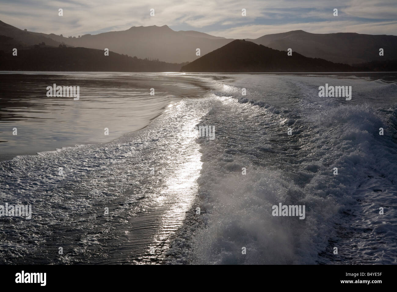 South Island New Zealand Boat wake in Akaroa Bay Stock Photo - Alamy