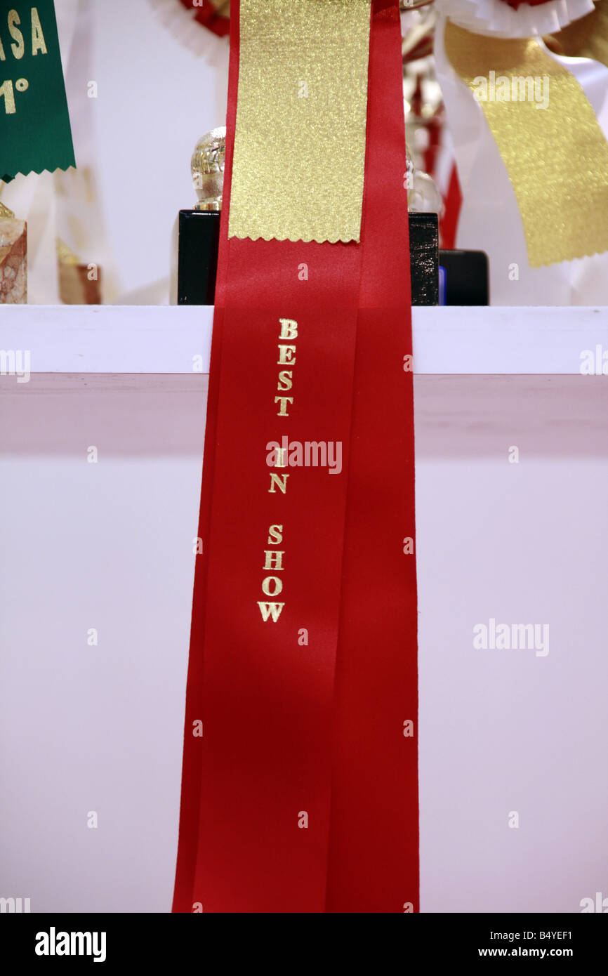 selection of winners rosettes at cat show Stock Photo - Alamy