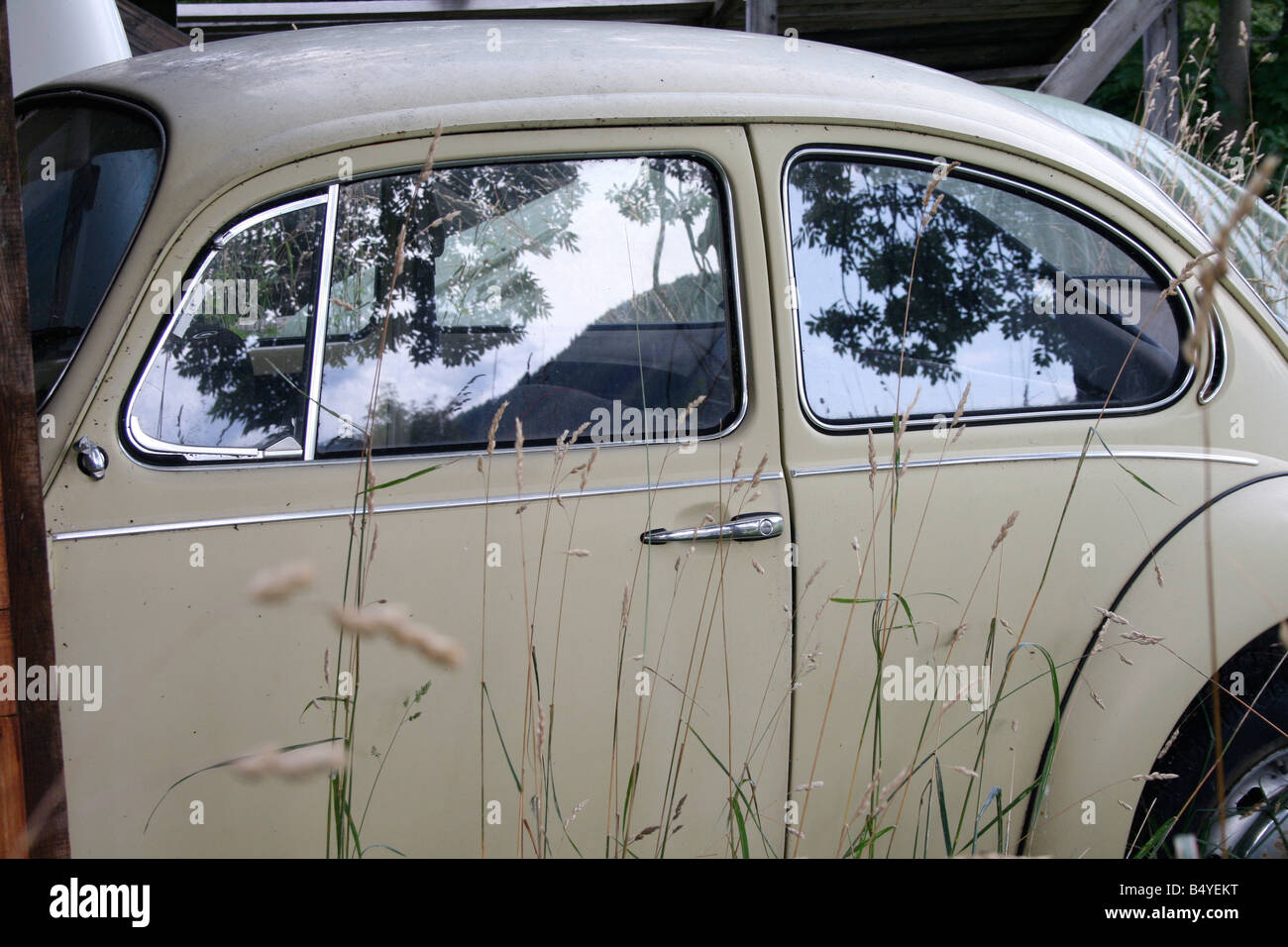 Old volkswagen car vw beetle hi-res stock photography and images - Alamy