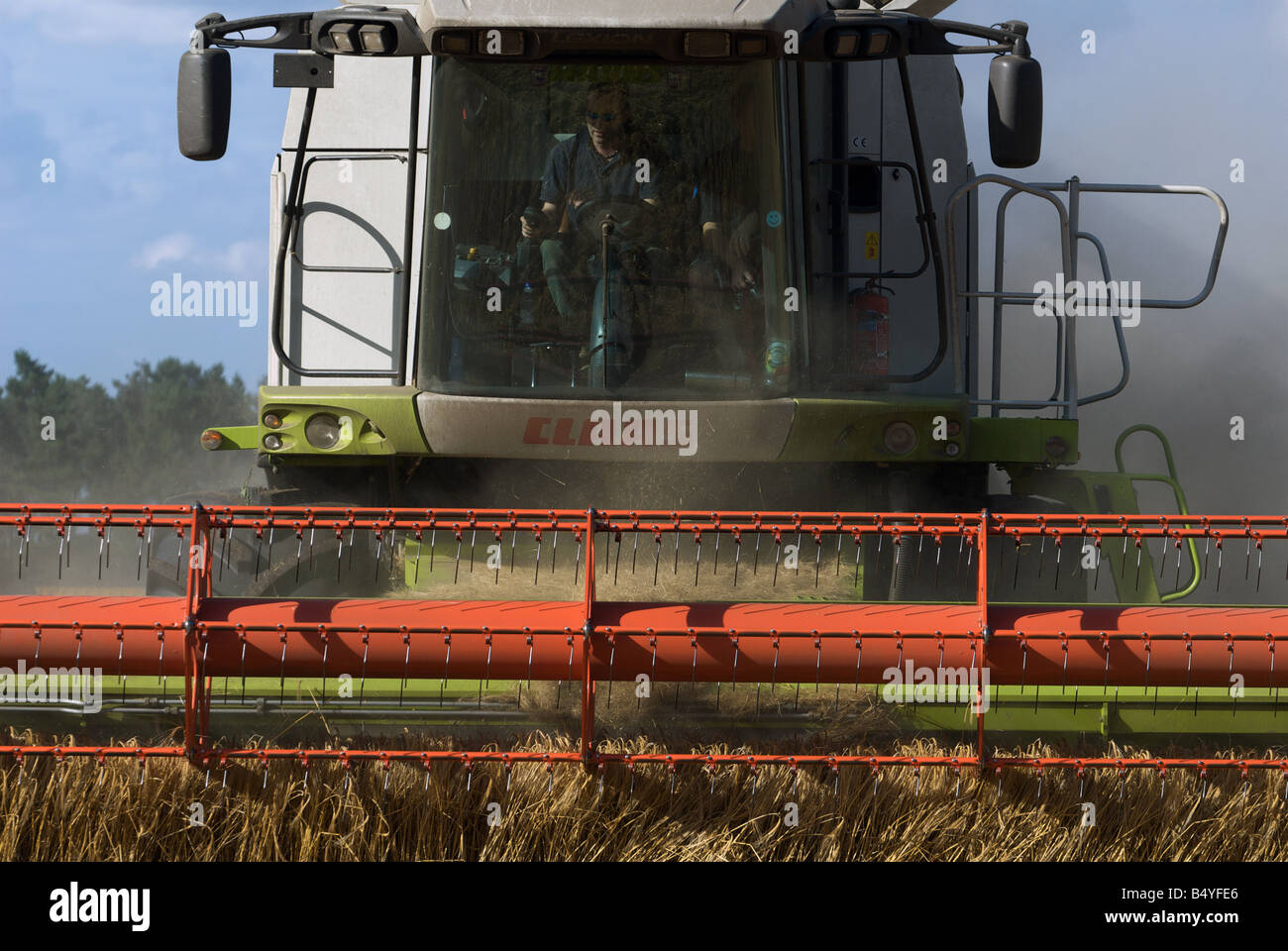 Combine harvester cutting wheat, Butley, Suffolk, UK Stock Photo - Alamy