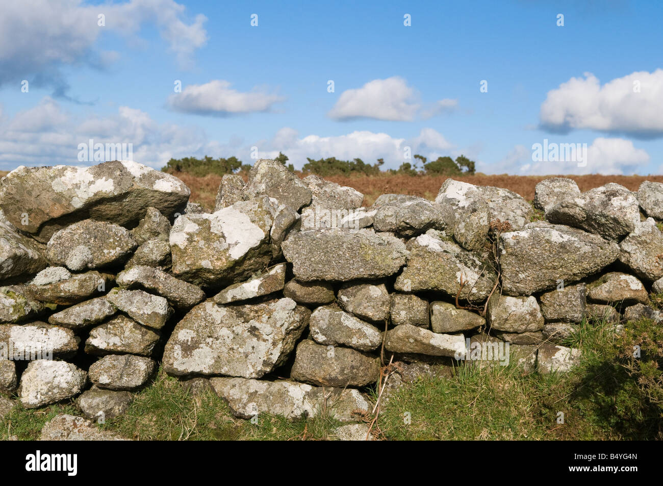 Cornish stone wall hi-res stock photography and images - Alamy