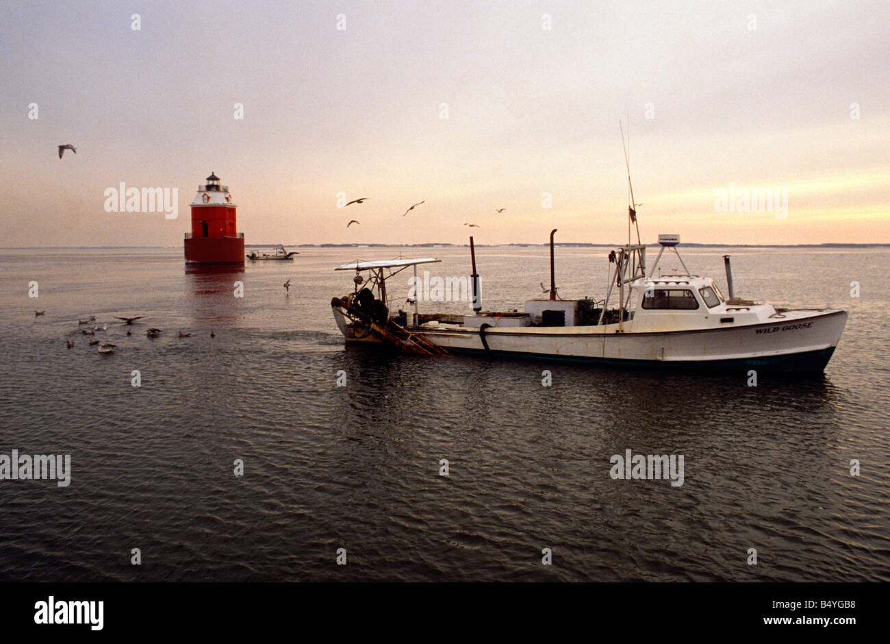 Fishing boats dredge for oysters near the Sandy Point Lighthouse in the ...