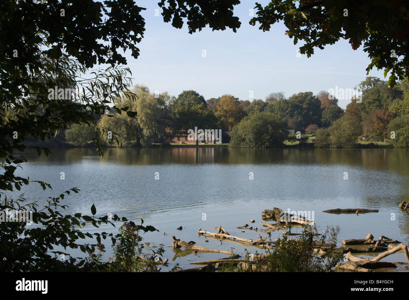 hatfield forest national trust attraction essex england uk gb Stock ...