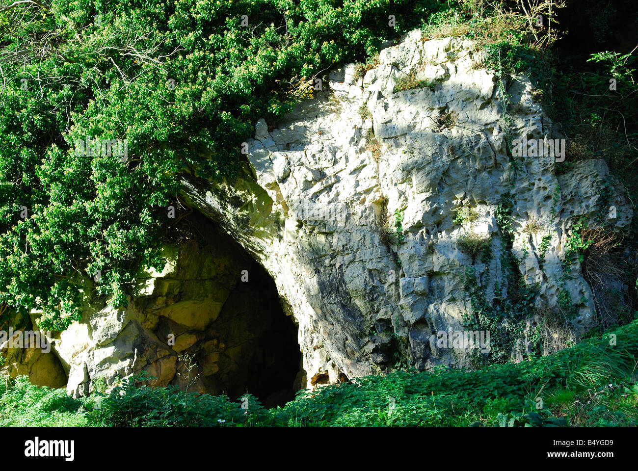 Creswell crags cave art hi-res stock photography and images - Alamy