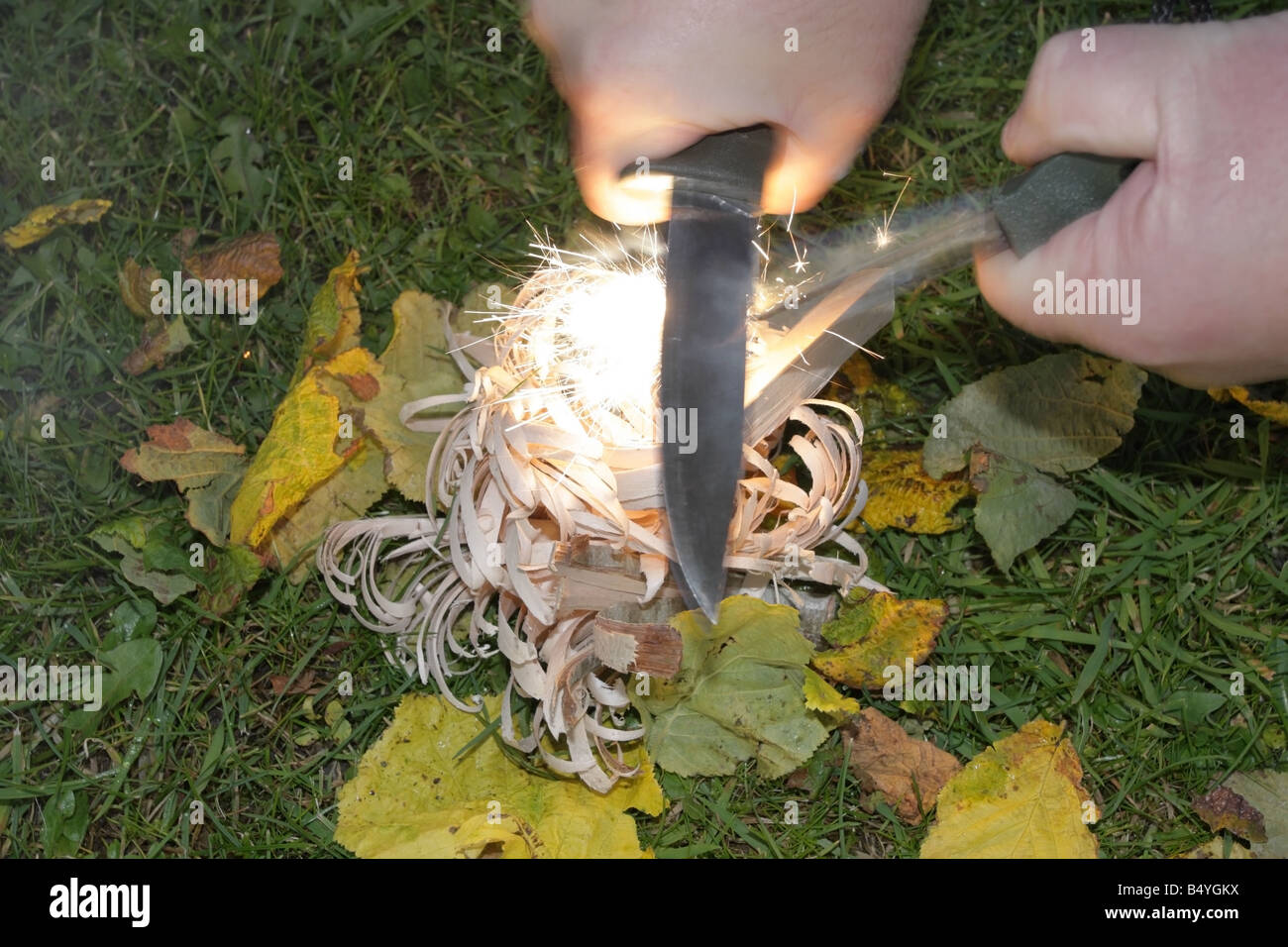 Fire Steel Being Used to Ignite Feather Sticks to Create Fire Stock ...