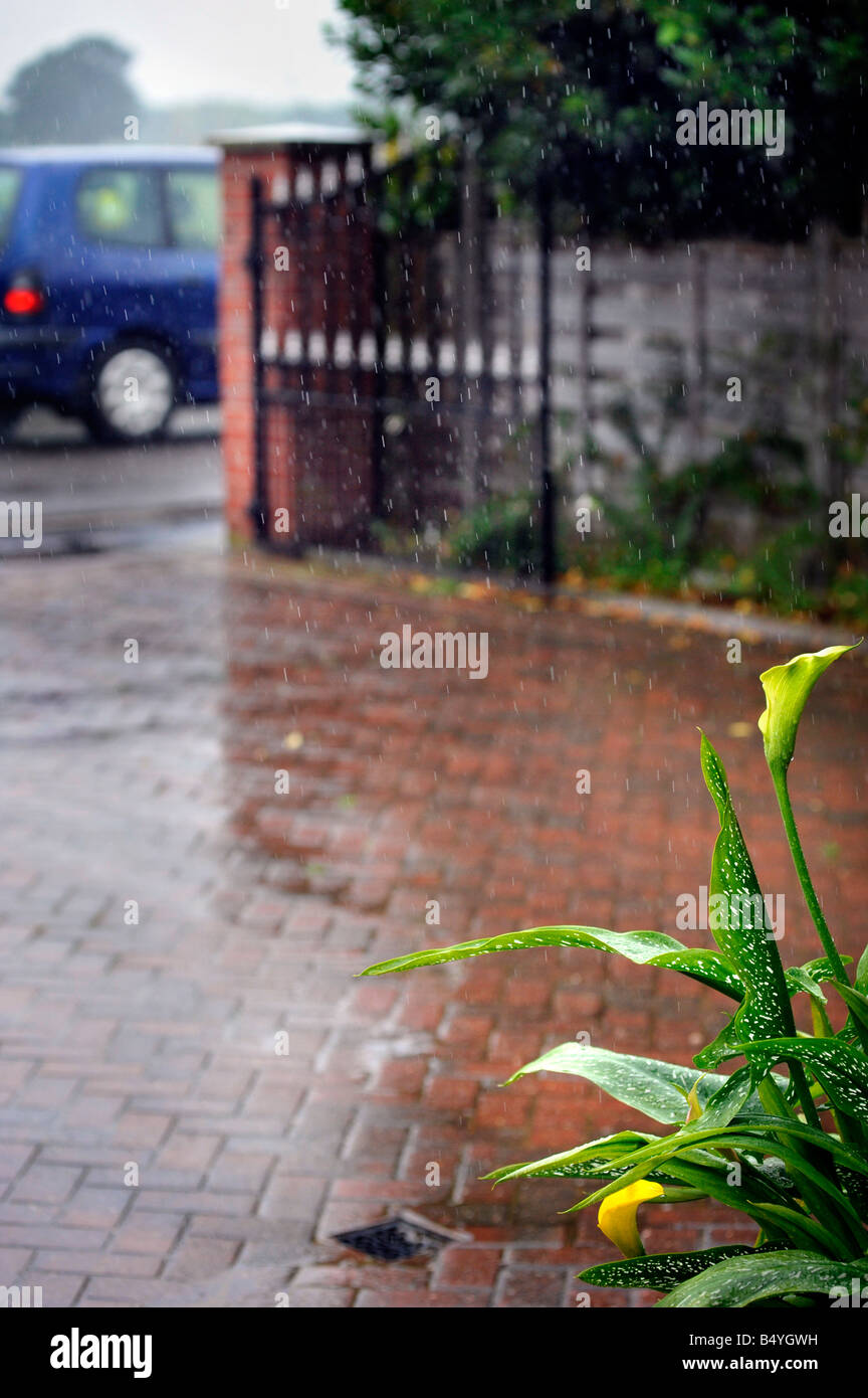 Open garden gate hi-res stock photography and images - Alamy