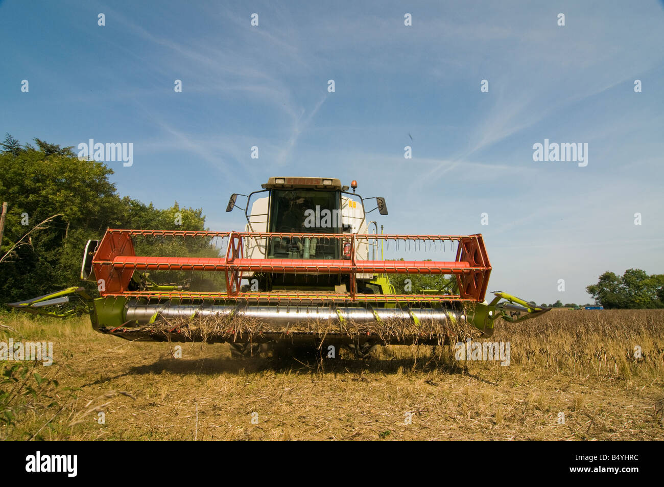 Claas combine harvester Stock Photo - Alamy
