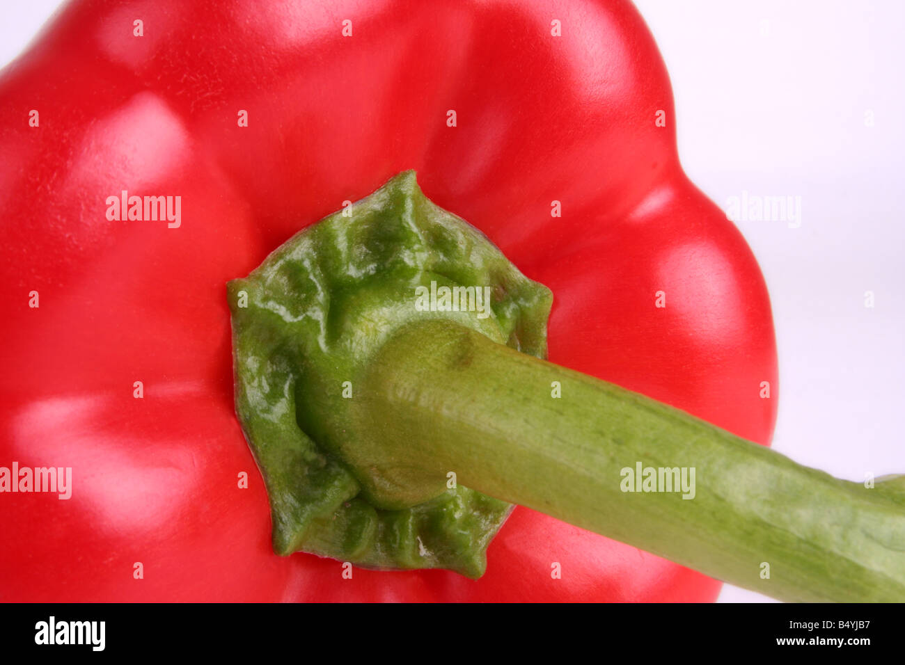 Bell pepper outline hi-res stock photography and images - Alamy