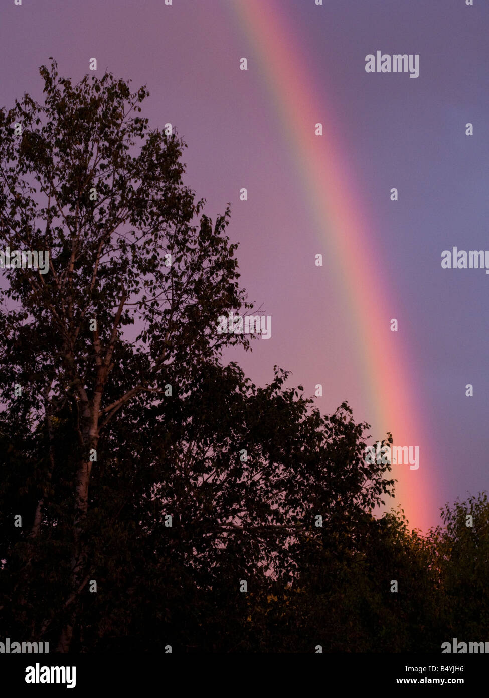 Natural Full Rainbow