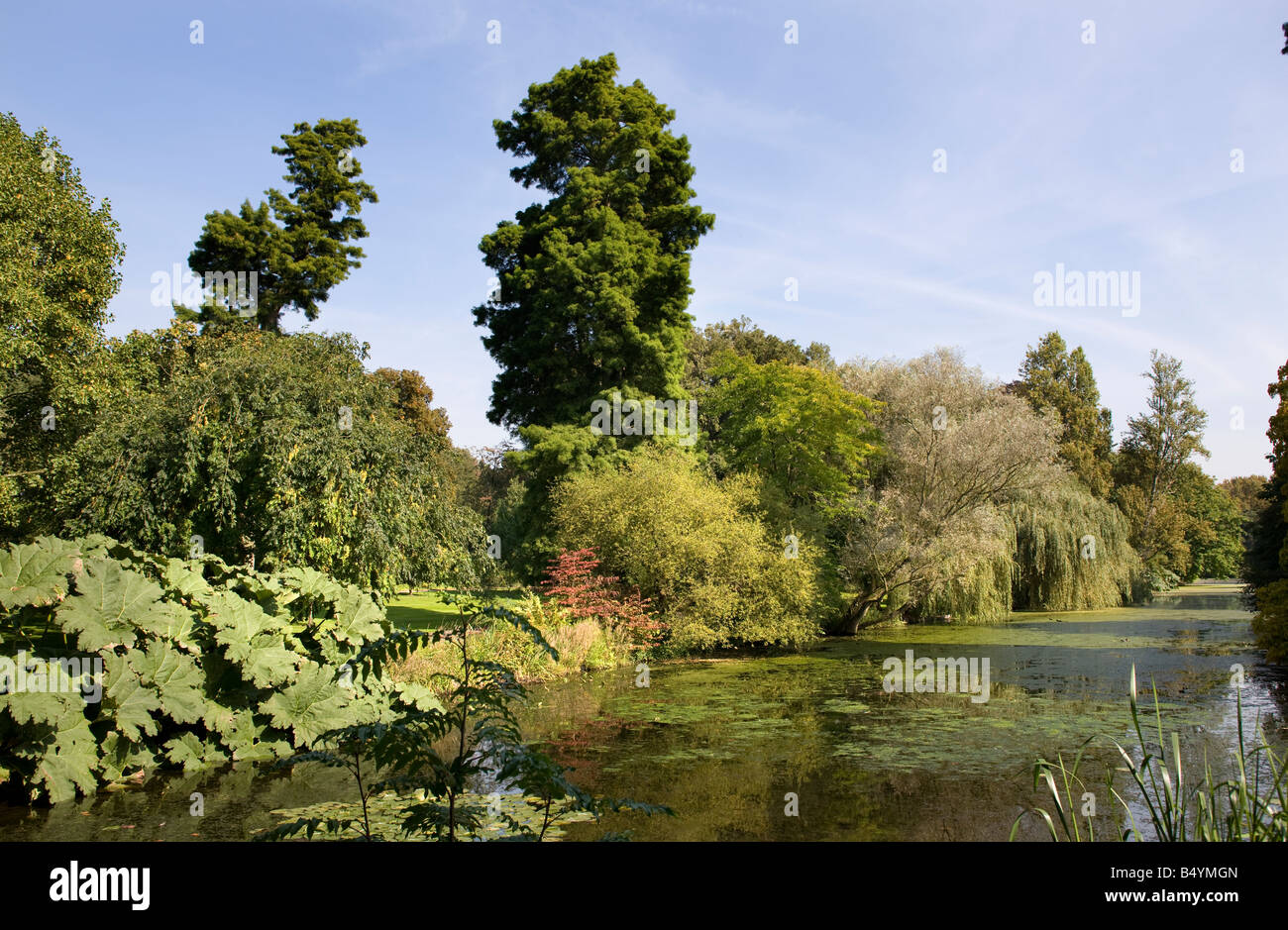 Syon Park Gardens London England UK Stock Photo - Alamy