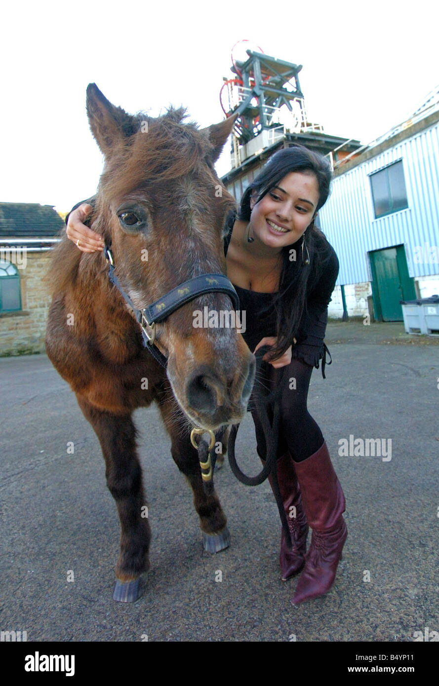 SPARKY - the UK's last surviving deep pit pony - has passed away after ...