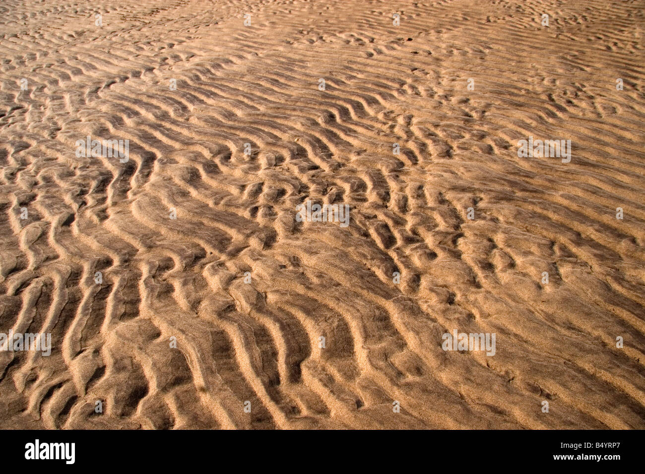 Dangerous mud flats hi-res stock photography and images - Alamy