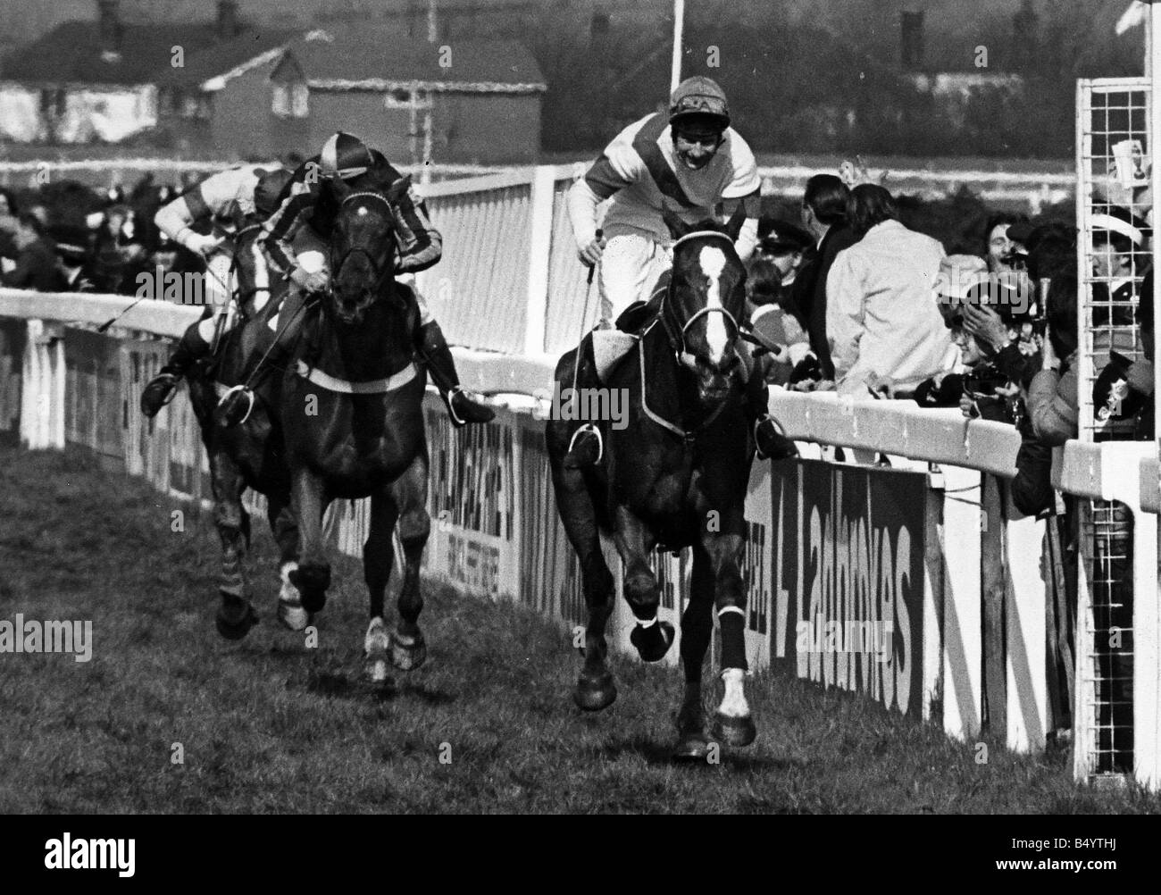 Aldaniti 1981 hi-res stock photography and images - Alamy