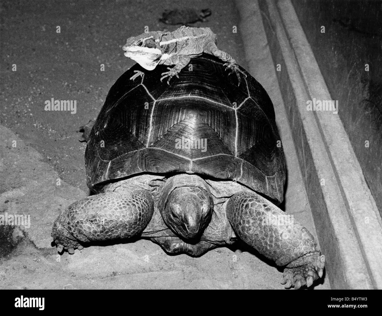 Taking a ride Black and White Stock Photos & Images - Alamy