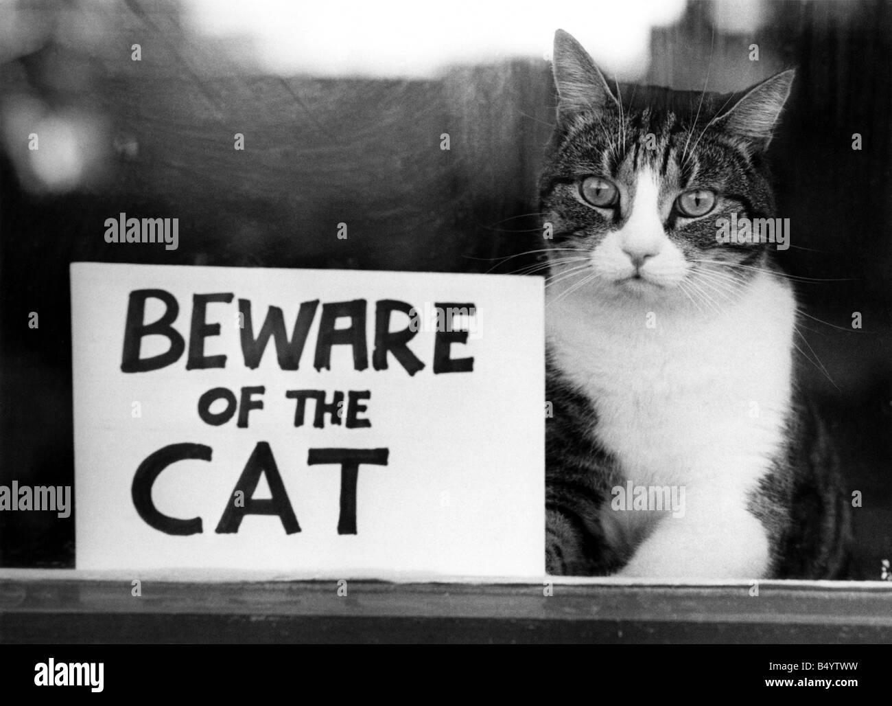Notice warning Black and White Stock Photos & Images - Alamy