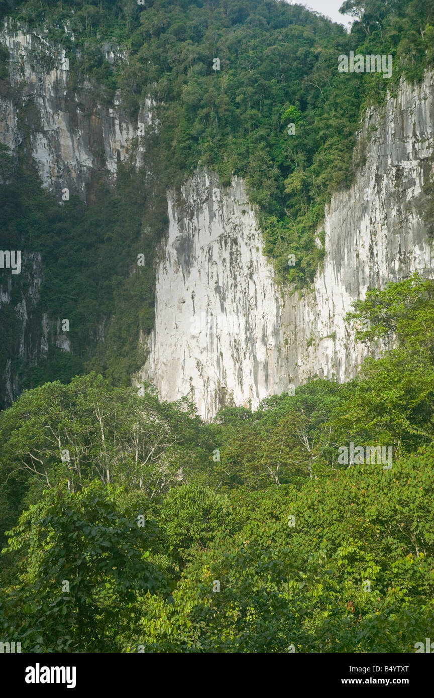 Karst limestone cliffs above Deer Cave Gunung Mulu National Park ...