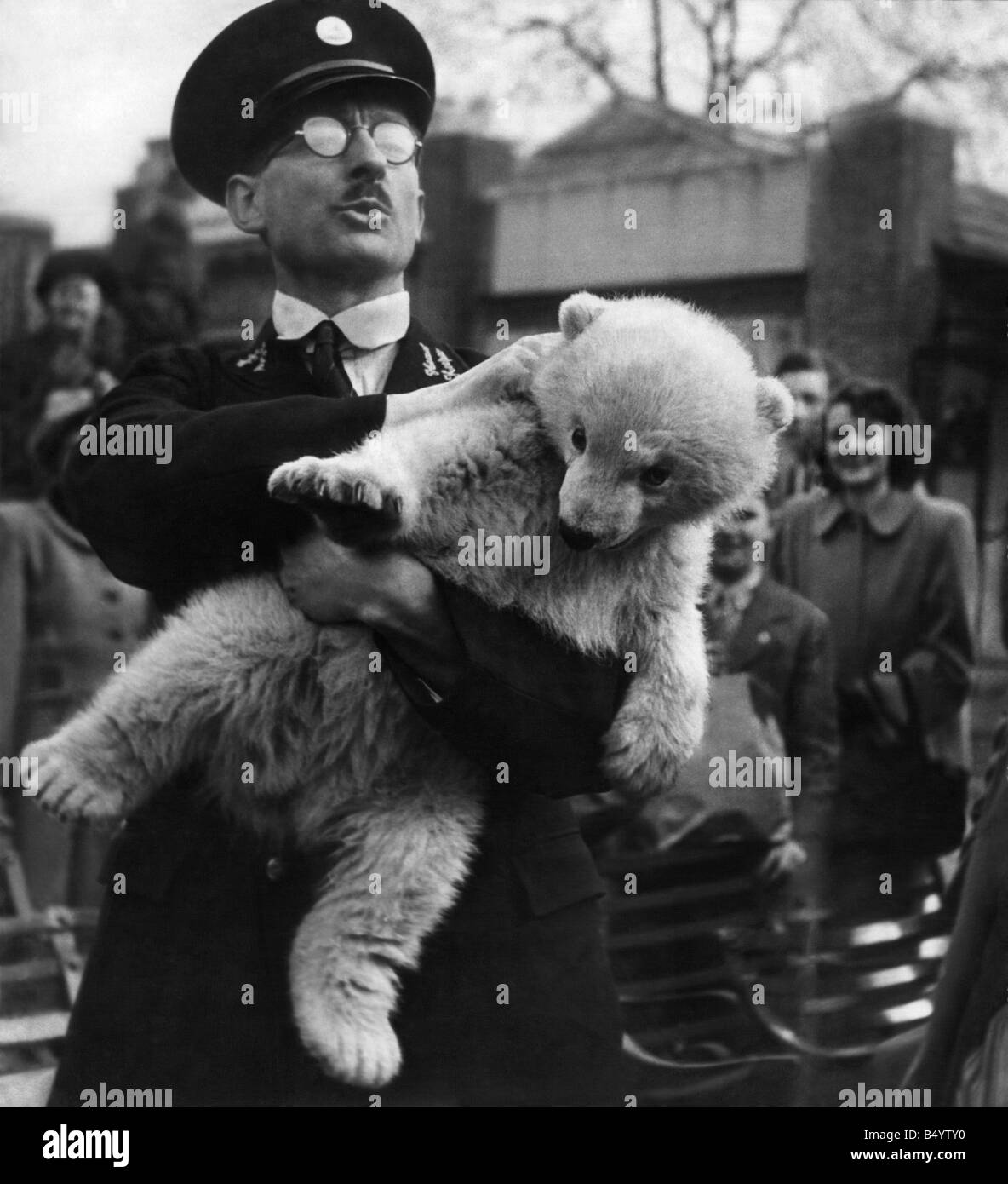 Animals - Polar Bear and Keeper. P000363 Stock Photo - Alamy