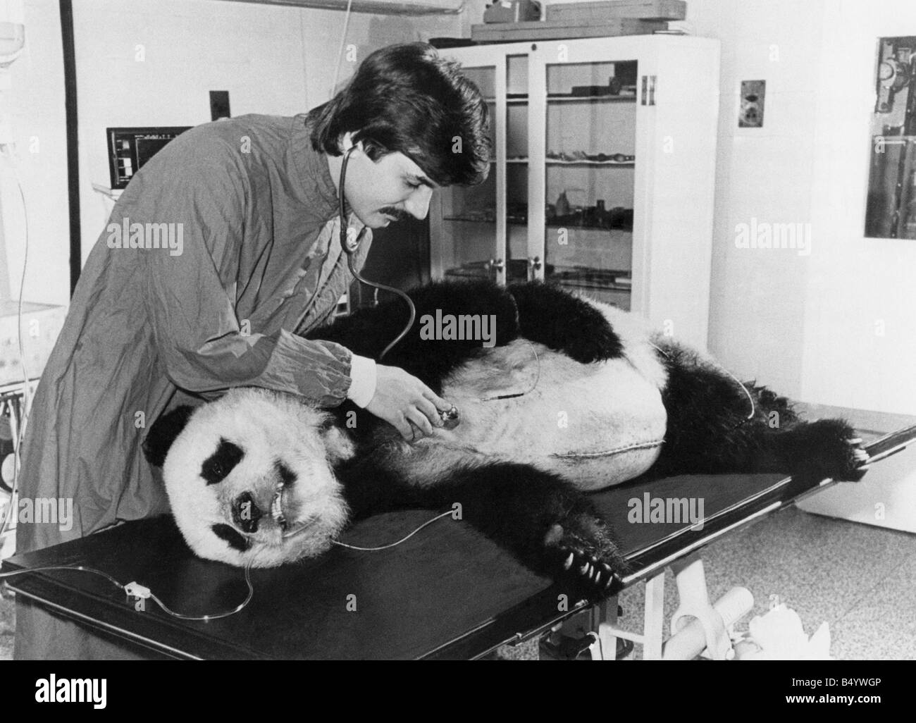 Drip in the hospital Black and White Stock Photos & Images - Alamy