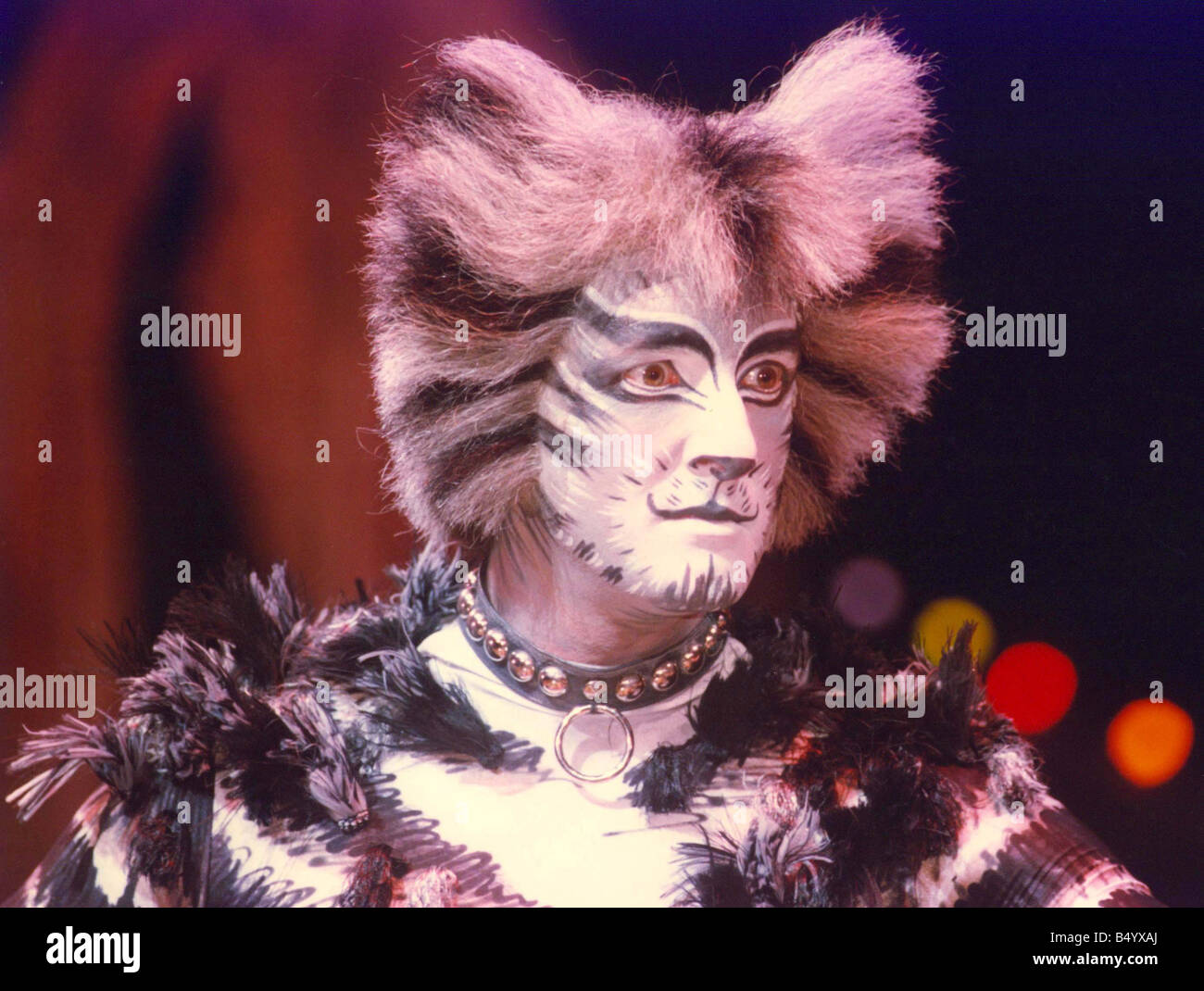 Cats musical costume hi-res stock photography and images - Alamy