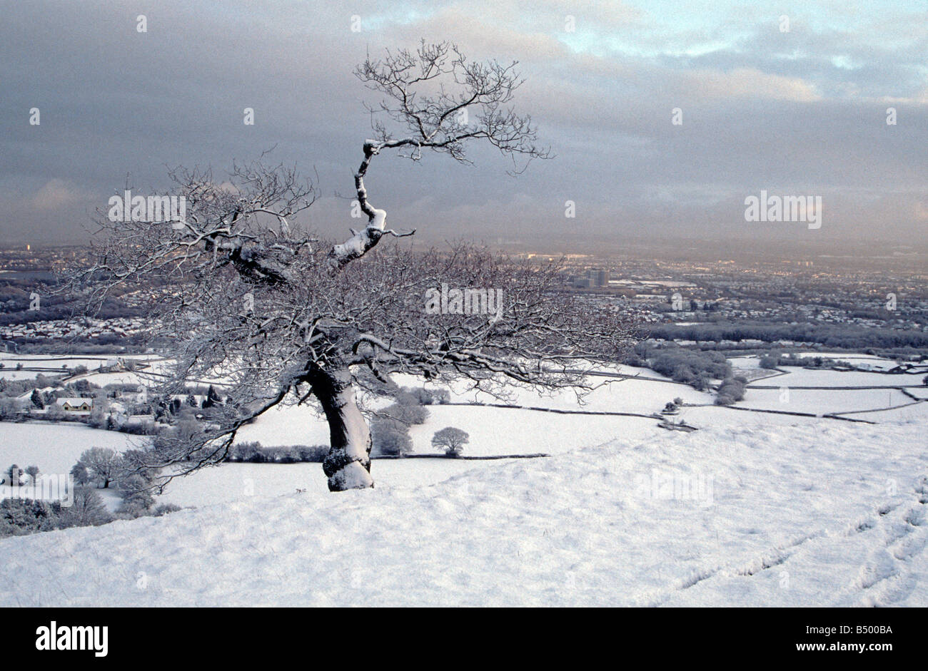 Snowy view through a tree over Cardiff Stock Photo - Alamy