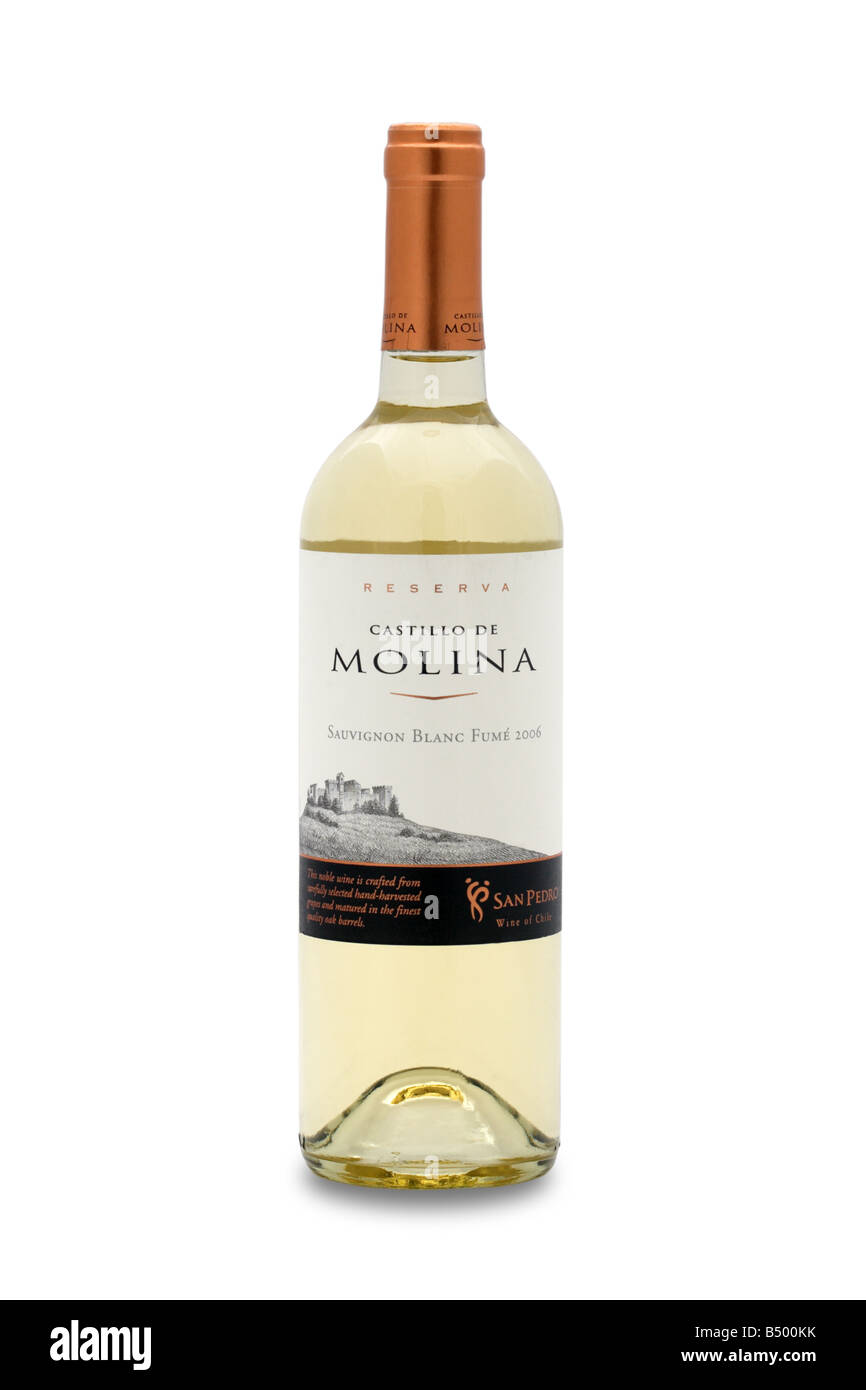 reserva castillo de molina sauvignon blanc white wine bottle san pedro ...