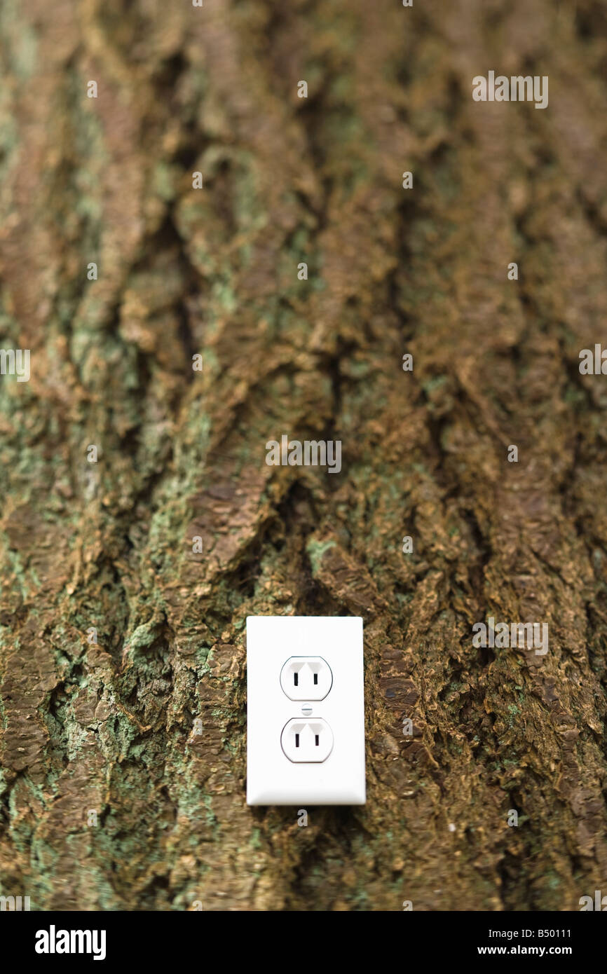 Electrical outlet on the side of a tree close up Stock Photo - Alamy