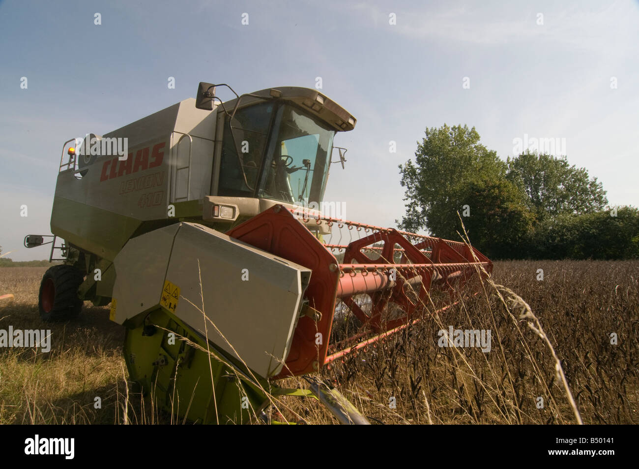 Claas combine harvester Stock Photo - Alamy