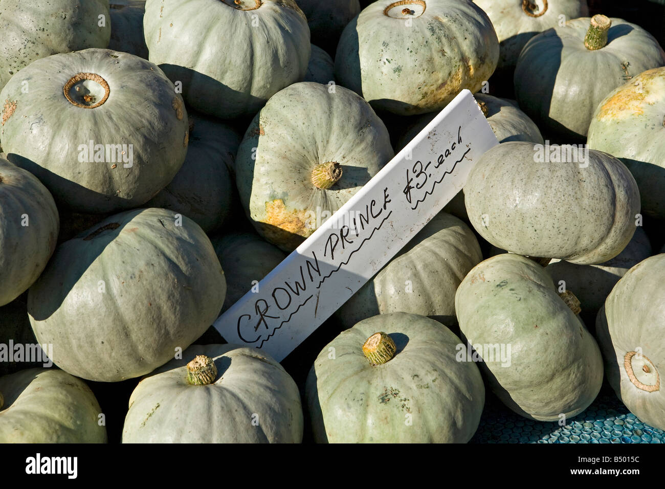 Pile of Crown Prince Pumpkins (Cucurbita maxima) on sale at outdoor ...