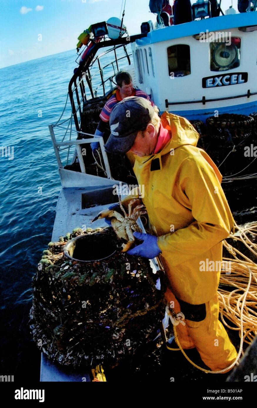 Crab fishing off South West coast of Devon England UK Stock Photo - Alamy