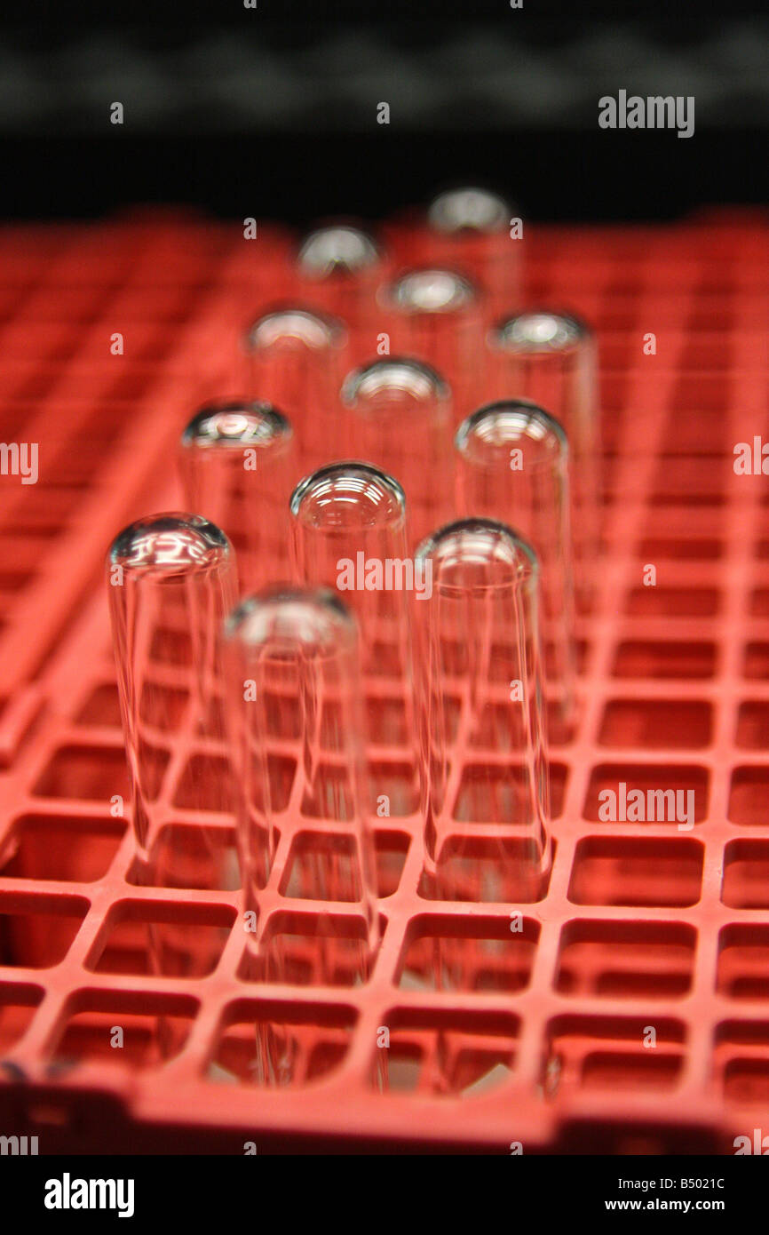 Test tubes in a plastic tray Stock Photo - Alamy