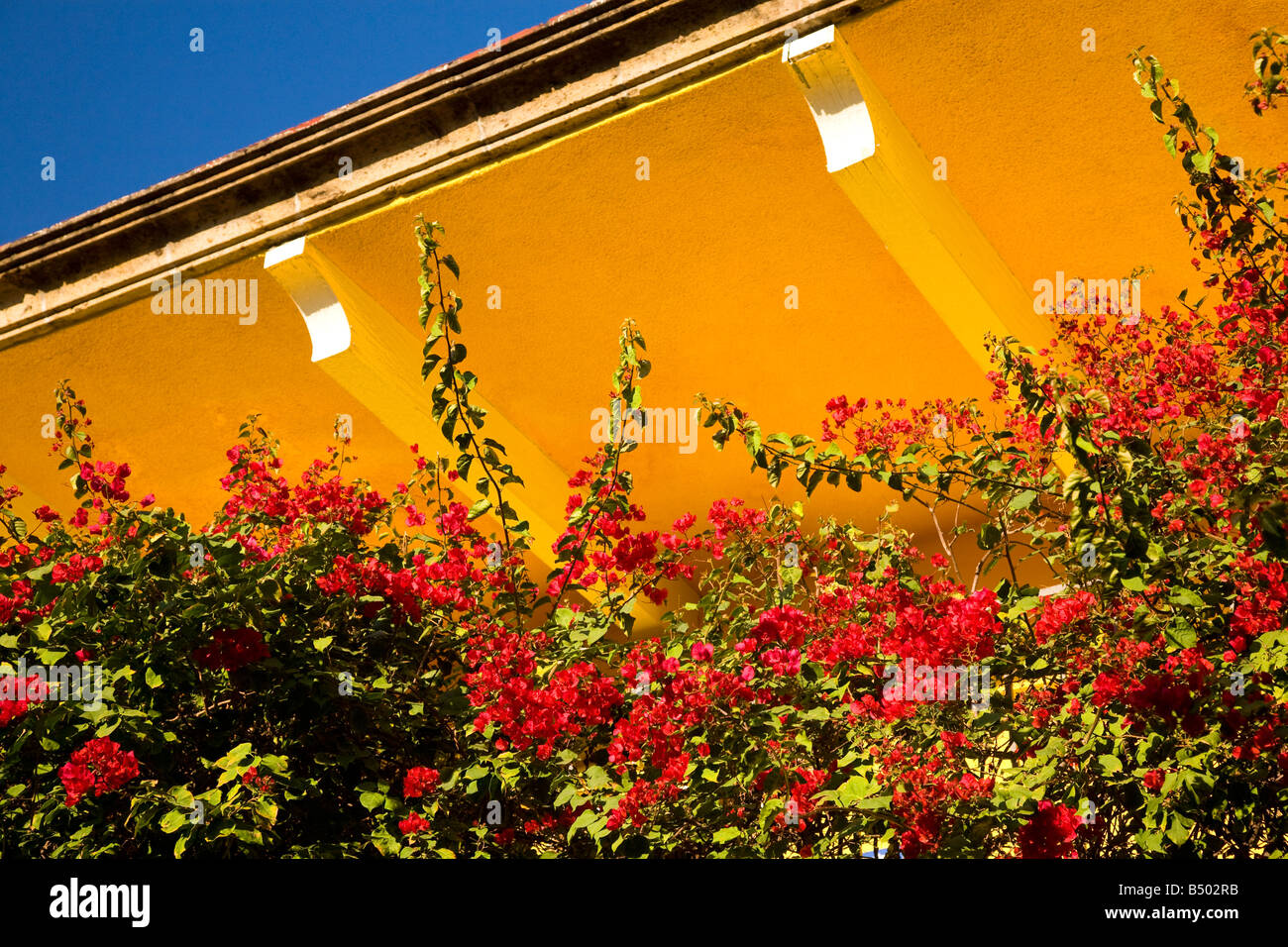 Yellow adobe roof hi-res stock photography and images - Alamy