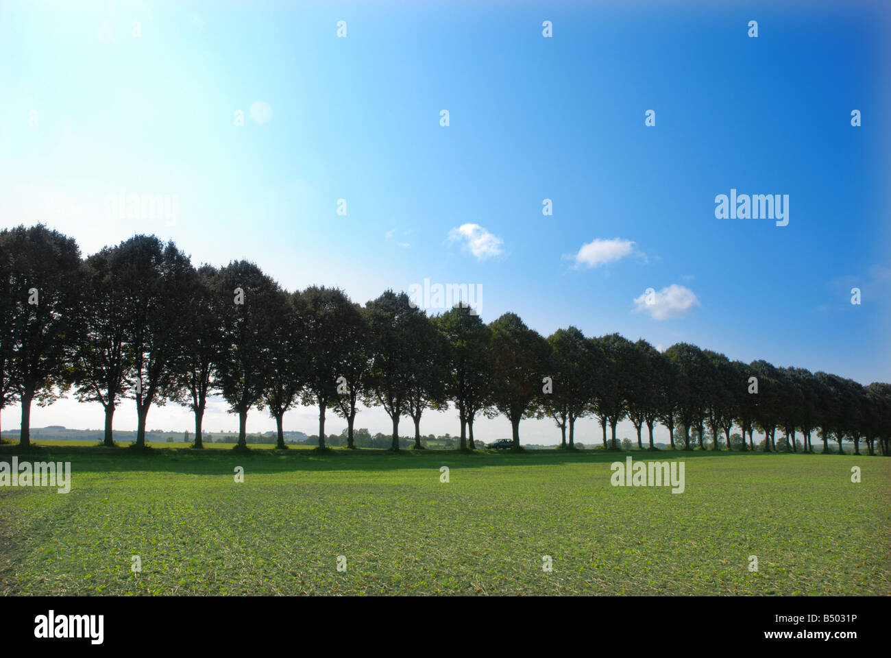 Tree line silhouette hi-res stock photography and images - Alamy