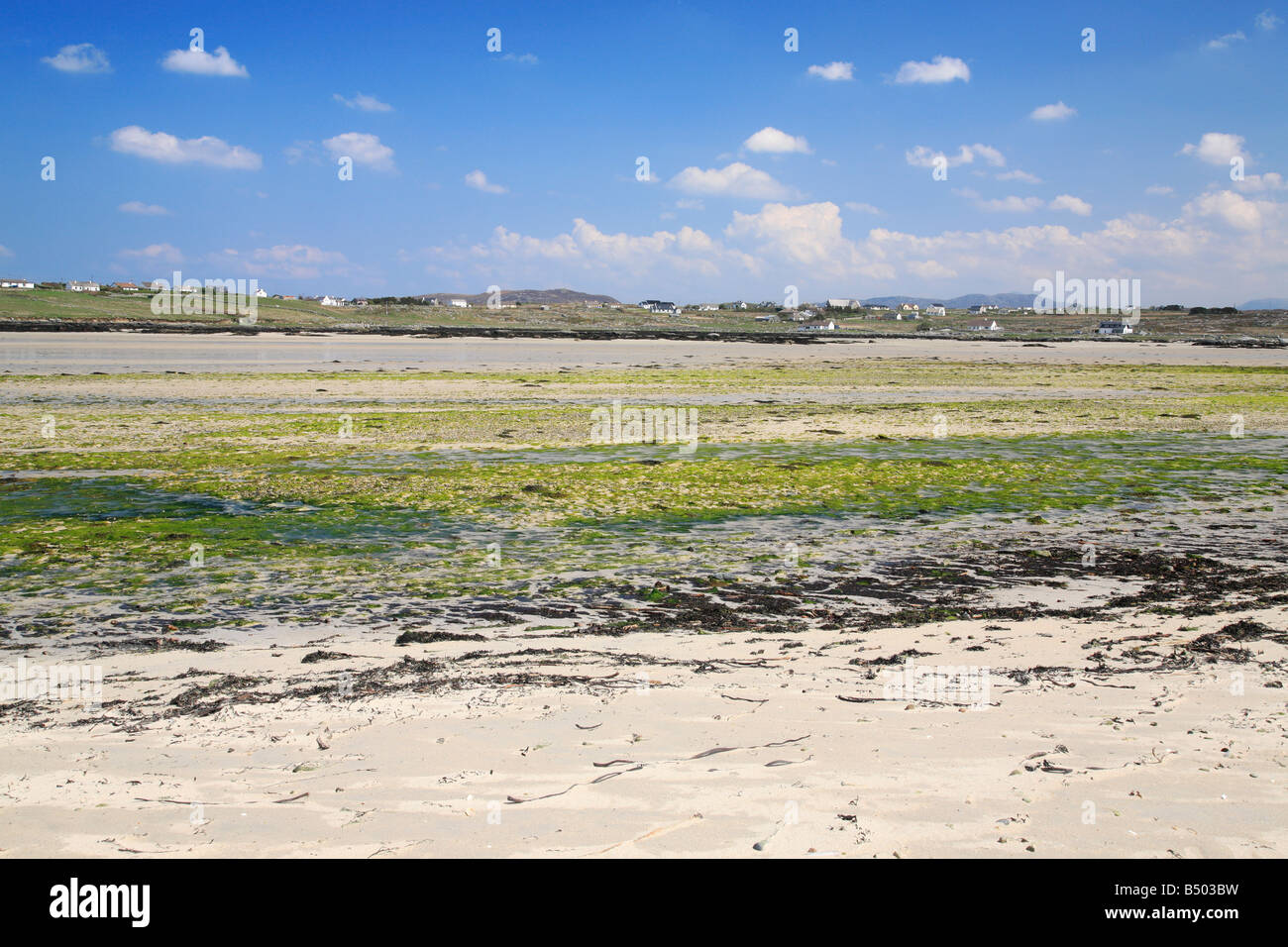 causeway across the beach from Claddaghduff to Omey Island during low ...