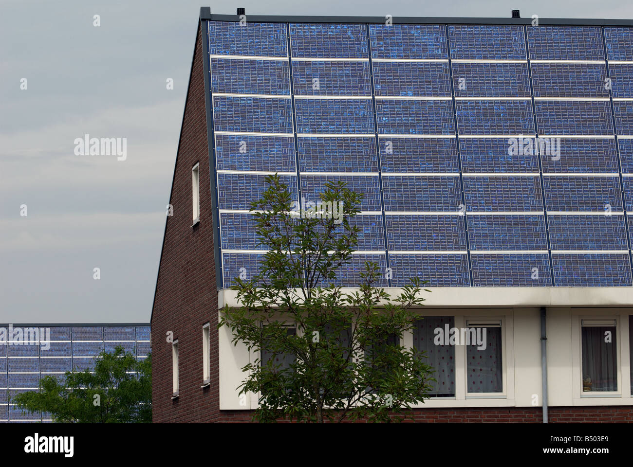 Shell solar panels fitted to houses on the world's largest solar ...