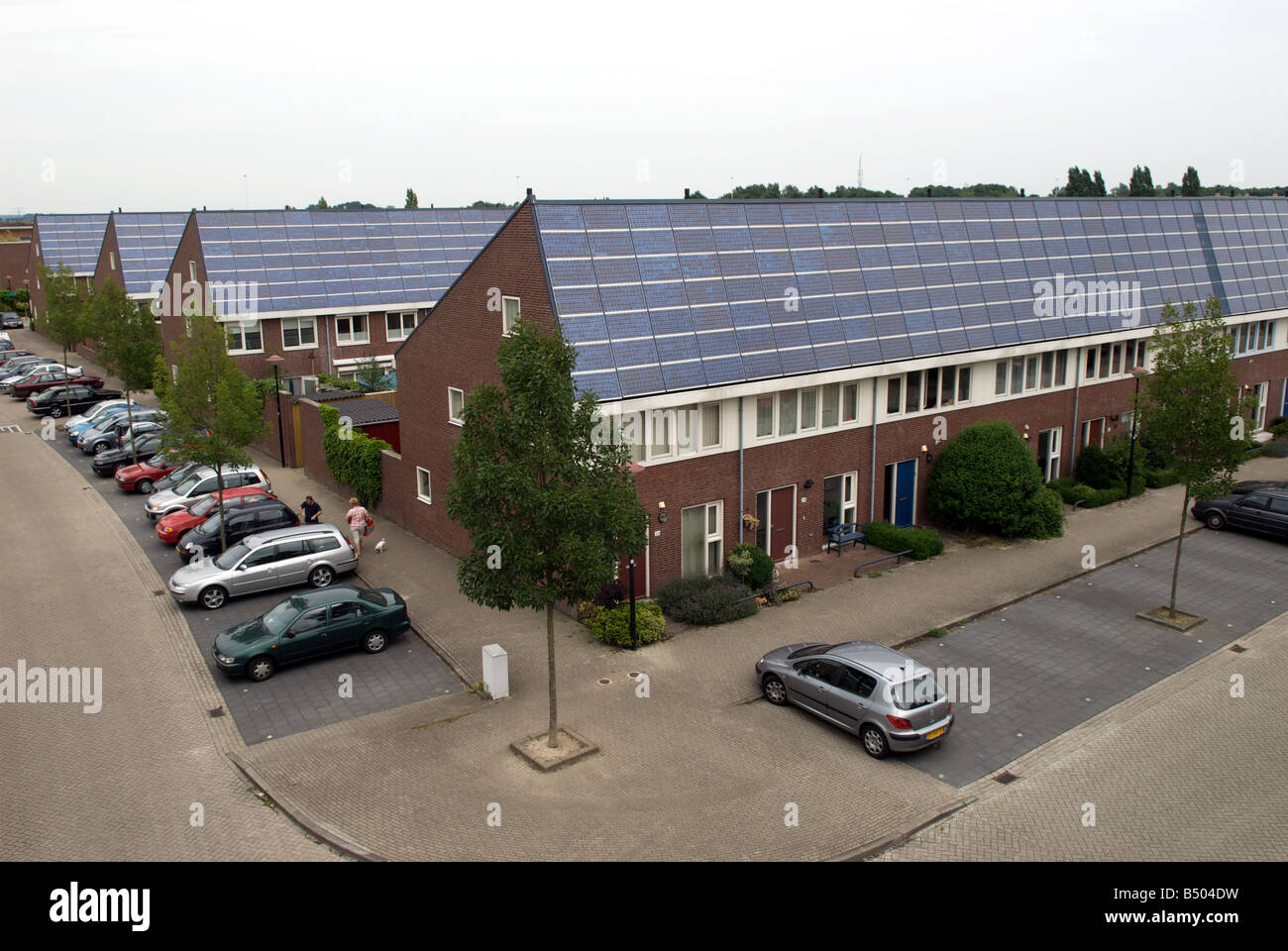 Shell solar panels fitted to houses on the world's largest solar ...
