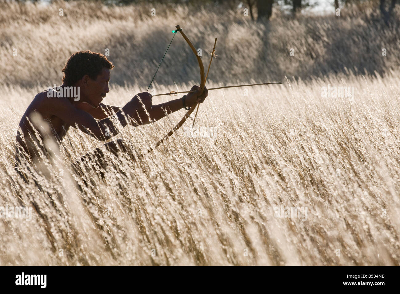 San bushmen arrow hi-res stock photography and images - Alamy