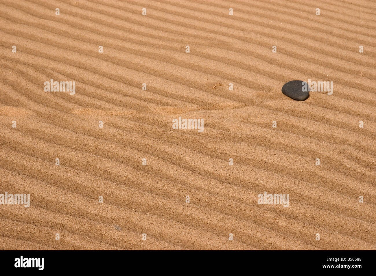 Sinking sands hi-res stock photography and images - Alamy