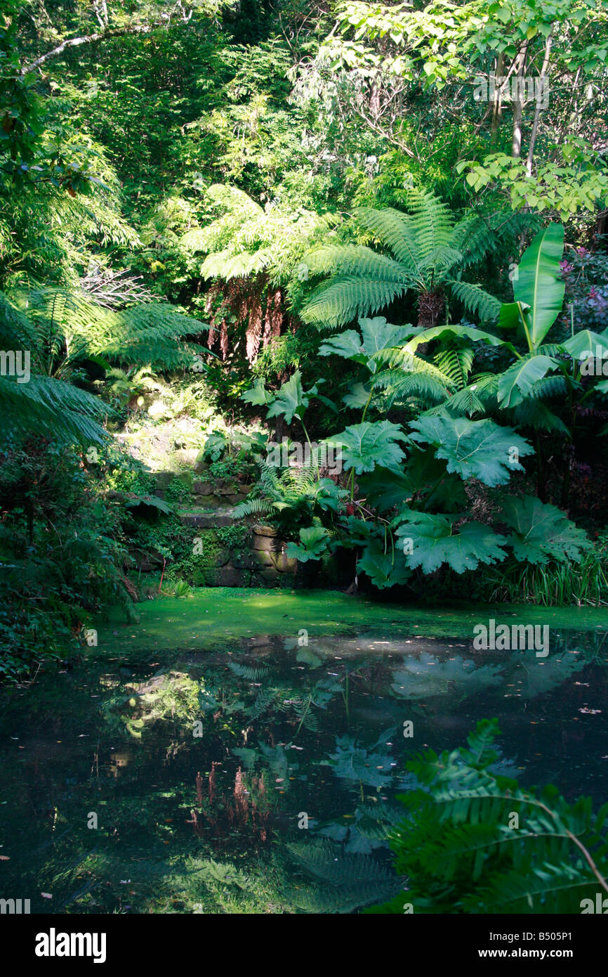 The enchanted forest of Groombridge Kent Stock Photo - Alamy