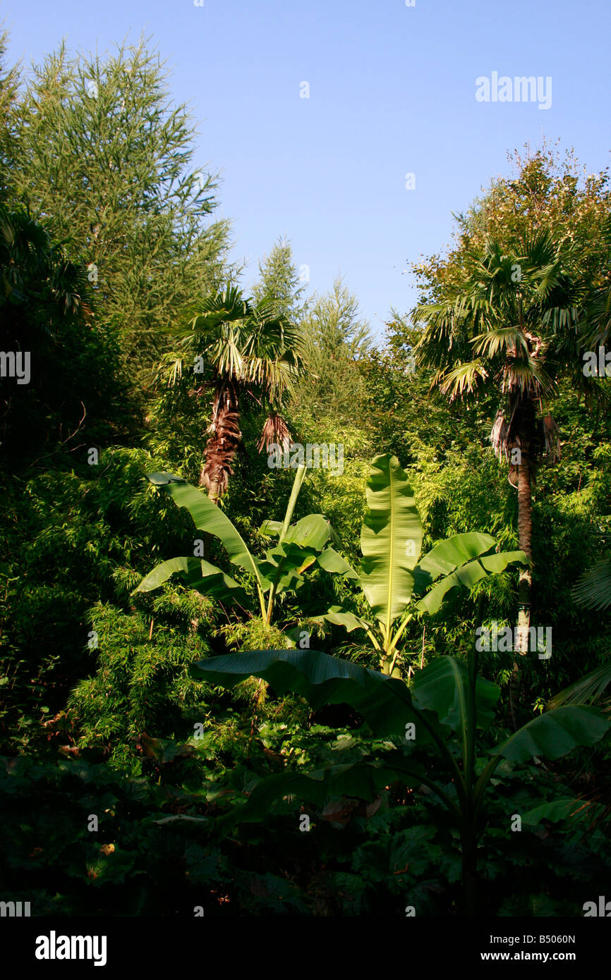 The enchanted forest of Groombridge Place Gardens Kent Stock Photo - Alamy