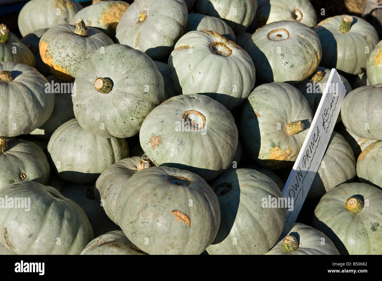 Crown Prince Pumpkin Stock Photos & Crown Prince Pumpkin Stock Images ...