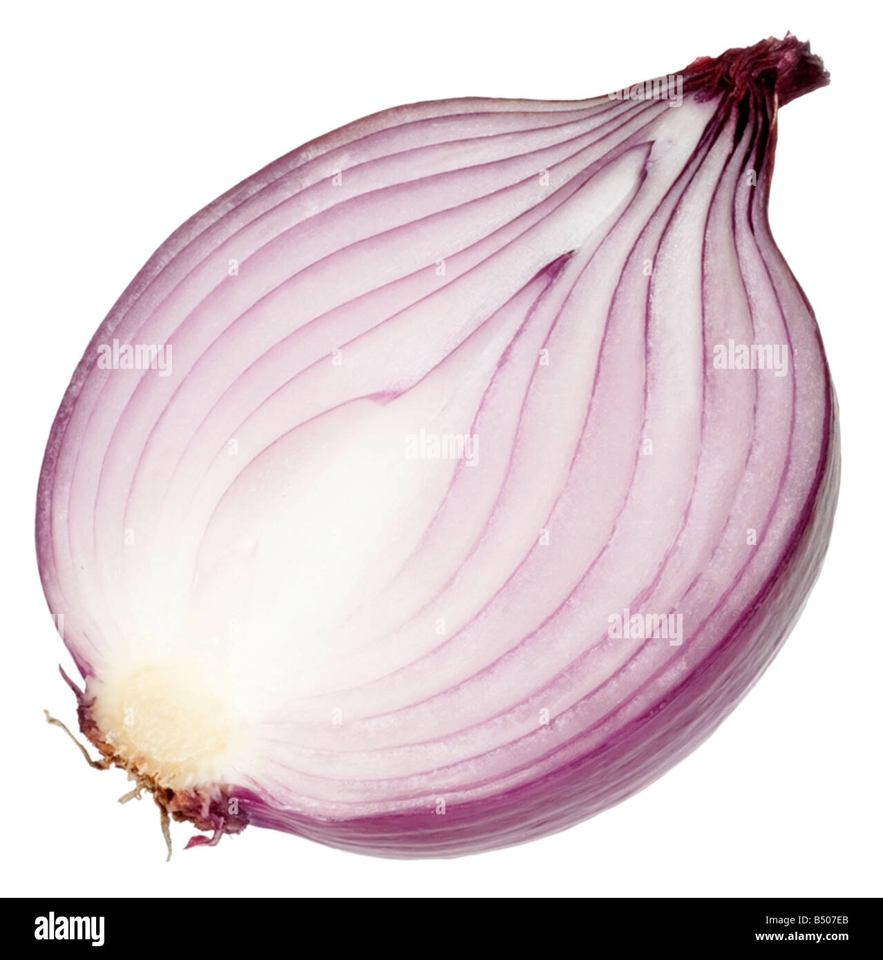 RED ONION HALF CUT OUT Stock Photo - Alamy RED ONION HALF CUT OUT Stock Photo - Alamy