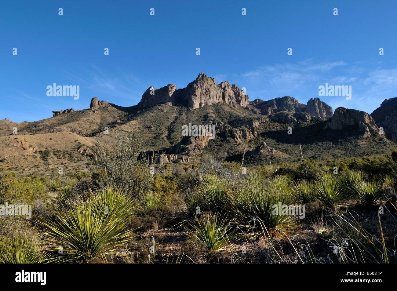 Chisos Mountains. Big Bend National Park, Texas, USA Stock Photo - Alamy