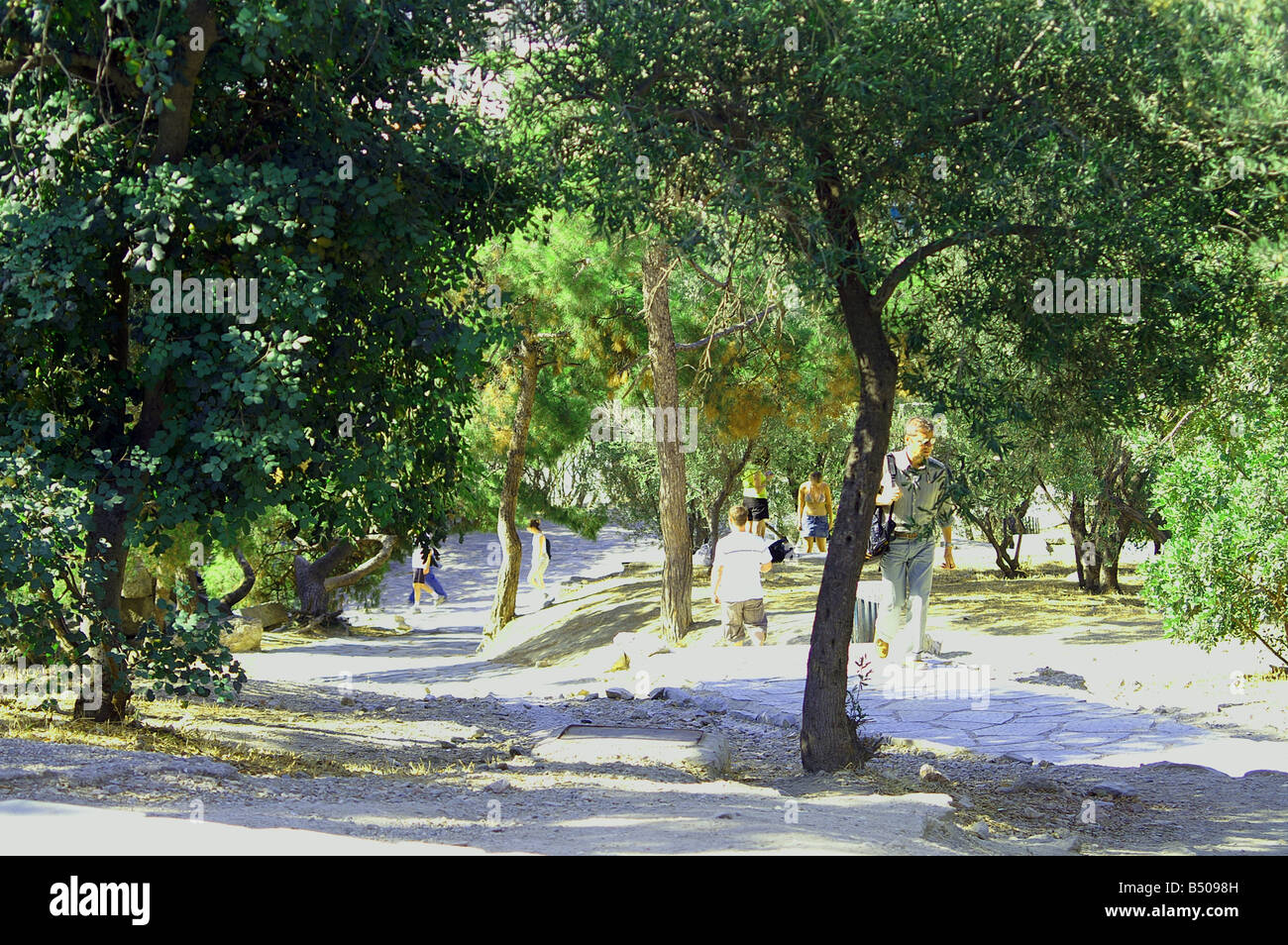 Pinewoods Path up Acropolis in Athens Stock Photo - Alamy
