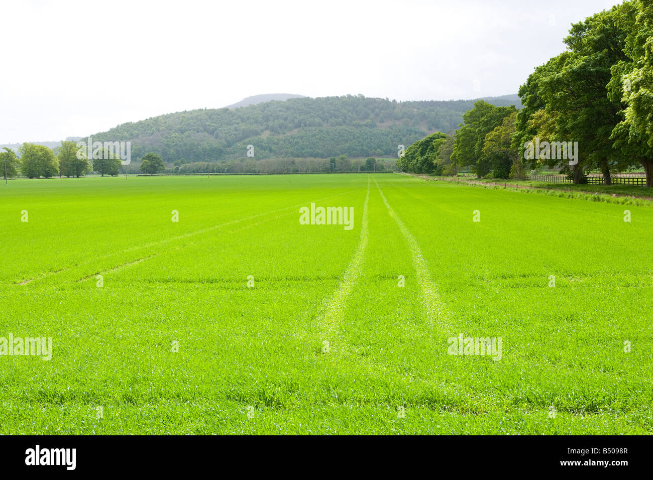 New crops hi-res stock photography and images - Alamy