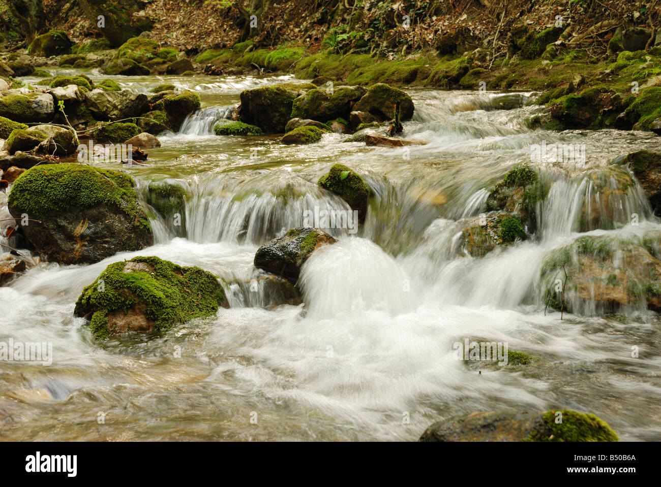 The mountain river A rough stream of water in mountains of the Crimean ...