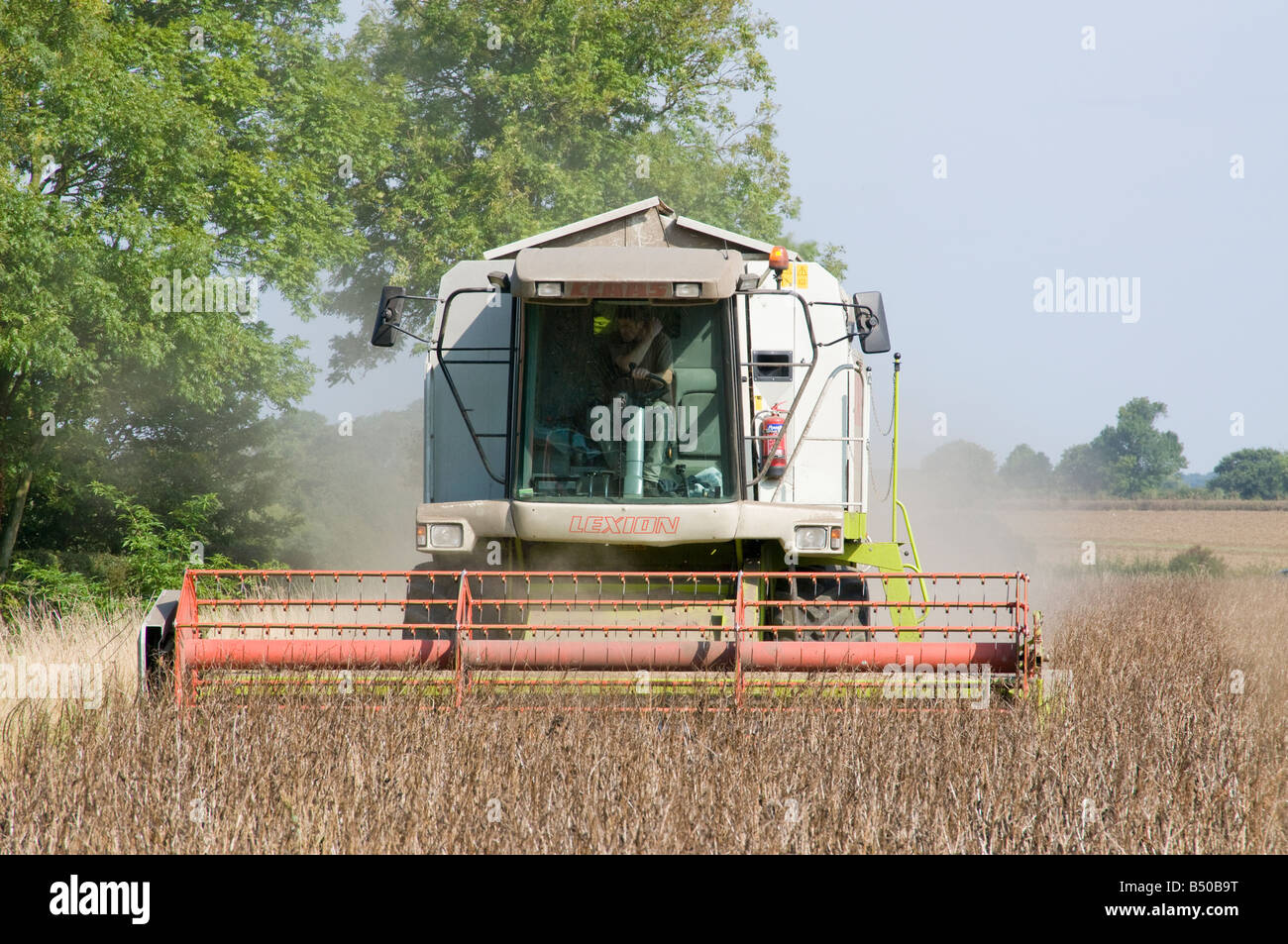 Claas combine harvester Stock Photo - Alamy